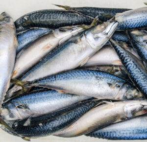 Products – Cal Marine Fish Company